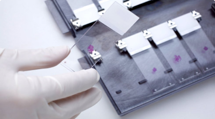 AI-Assisted Antibody Selection - BenchSci