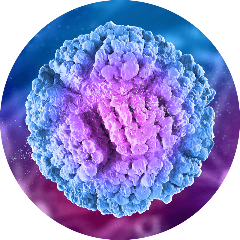 BenchSci: Reimagining Research