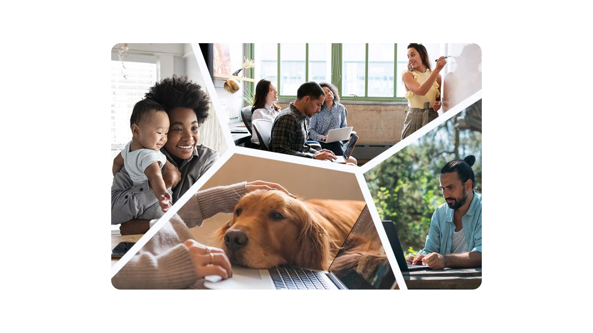 Office Optional for Employees as BenchSci Embraces Being Remote-first